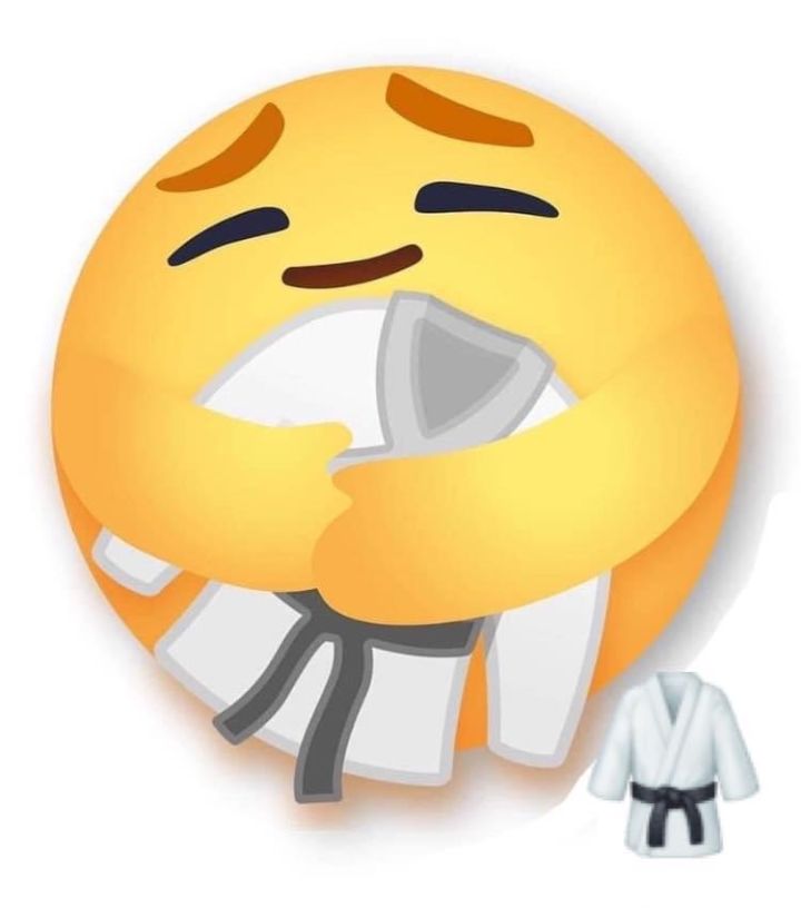 INFORMATION LICENCE CONFINEMENT - JUDO-JJB-MMA LAGNY 77